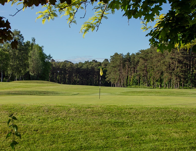 Membership - Bramshaw Golf Club