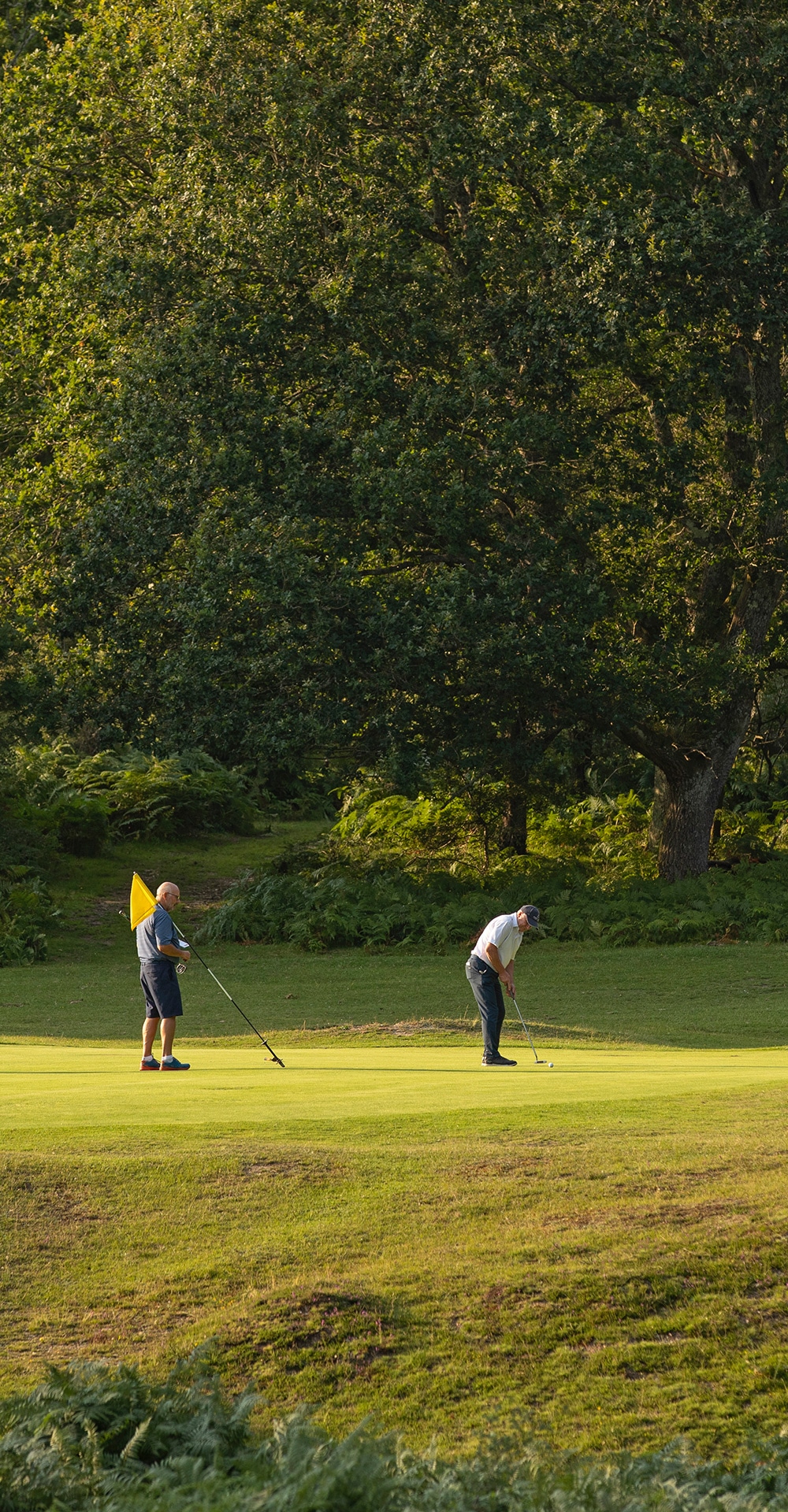 Bramshaw Golf Club in the New Forest, Hampshire
